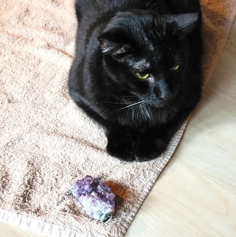 How To Use Crystals With Cats