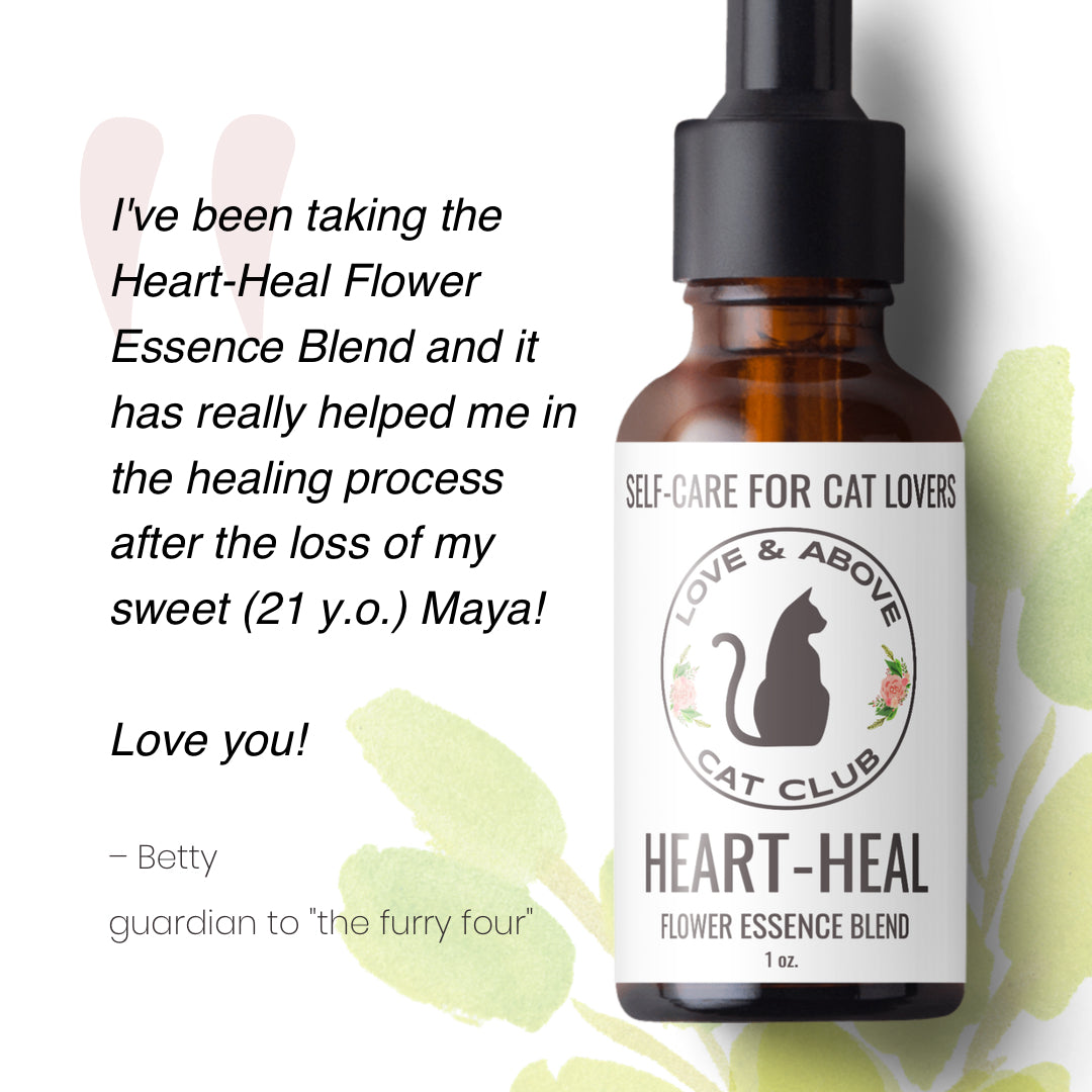 Heart Heal | Flower Essence Therapy for Emotional Balance